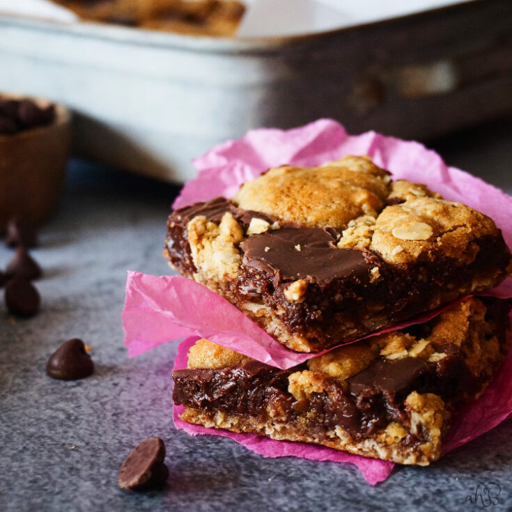 Chocolate Revel Bars - Accidental Happy Baker